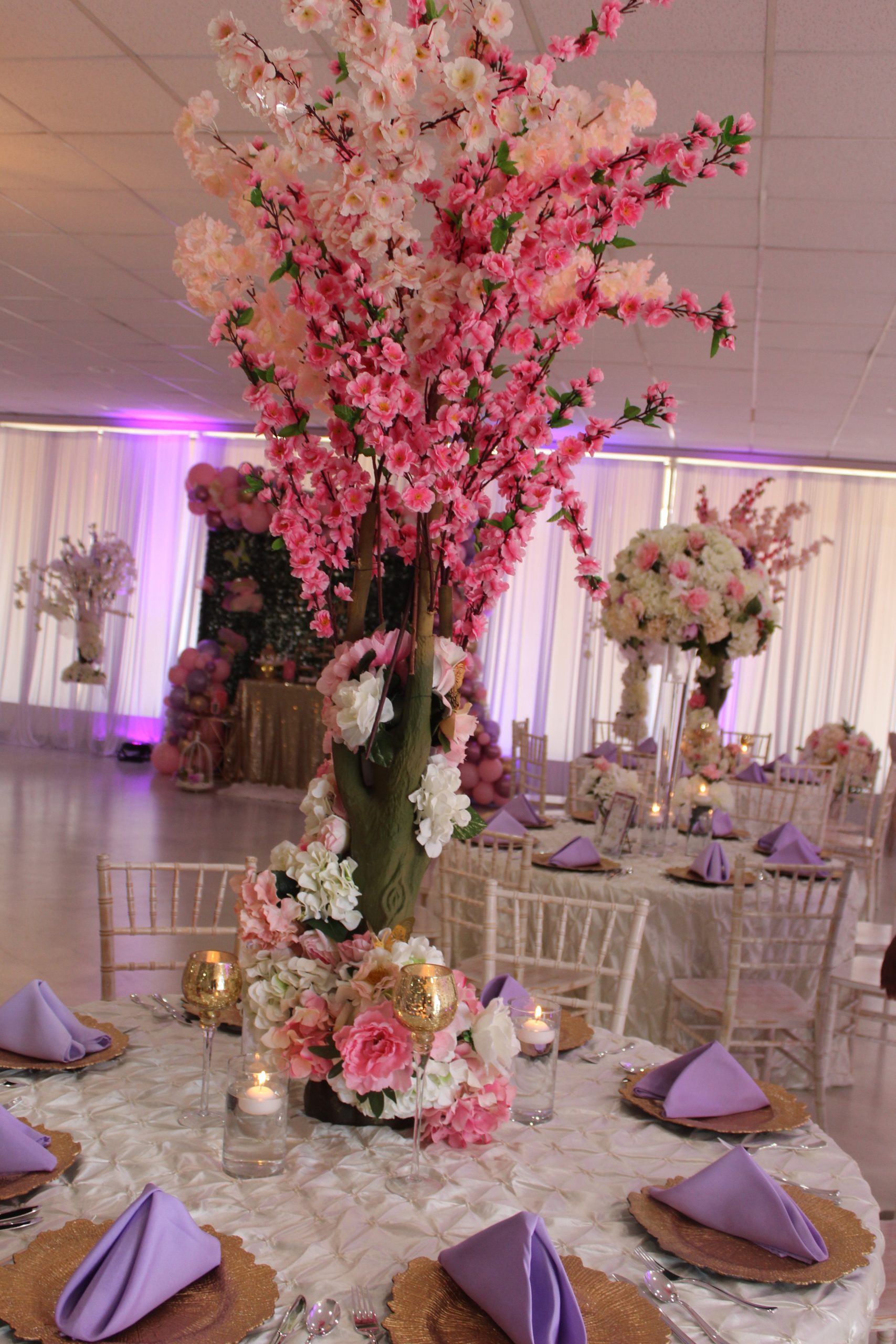 Decor Packages – My Party Queen